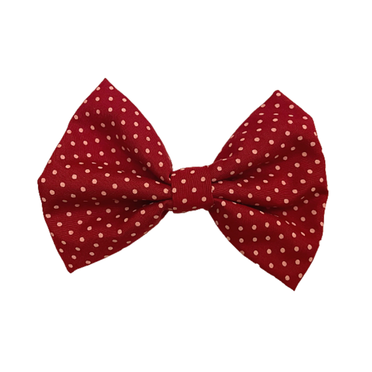 Chongas – Miguitas El Salvador