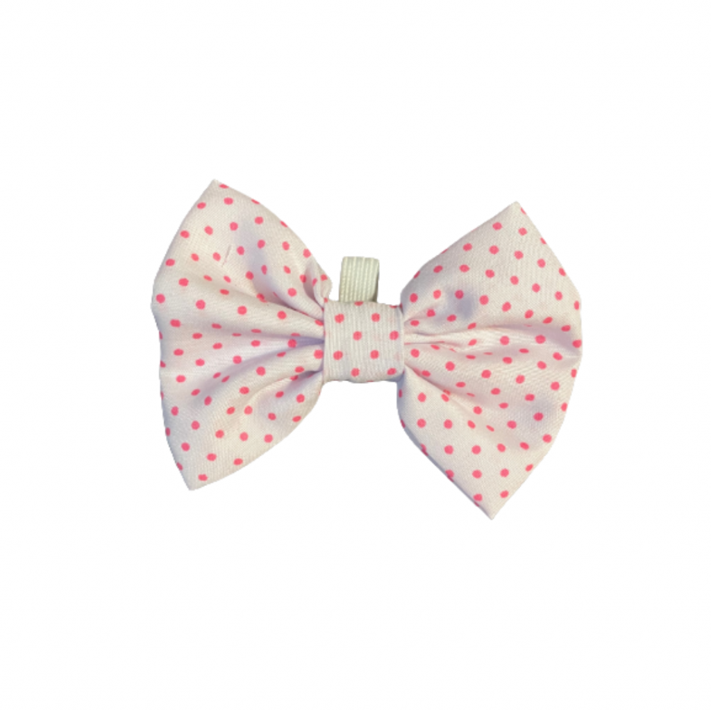 Chongas – Miguitas El Salvador